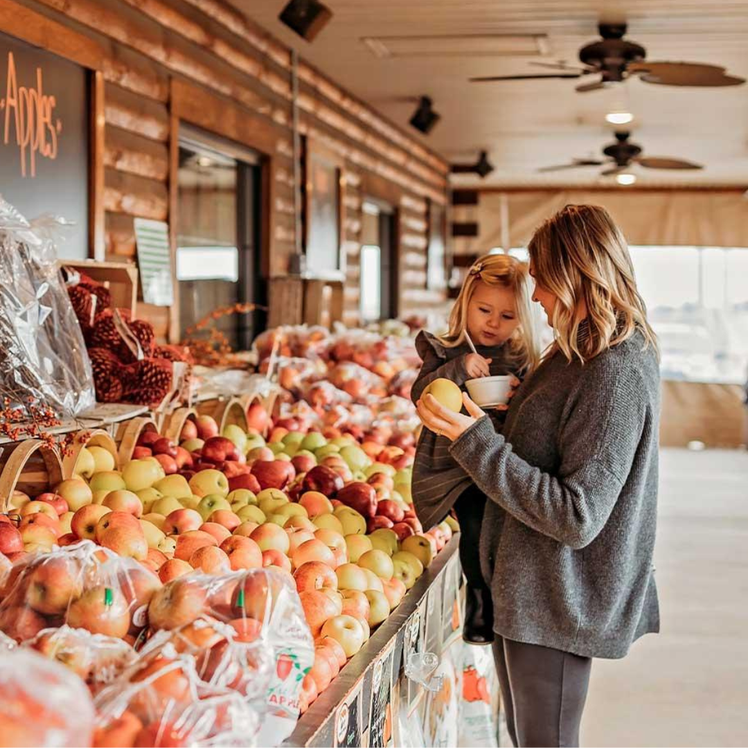 The Charm of Fruit Stands in Utah: From Orchard to Roadside - Utah Tree ...