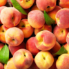 Home - Utah Tree Fruit Growers