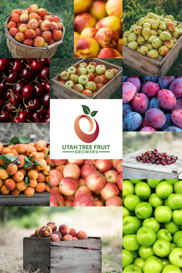 Home - Utah Tree Fruit Growers